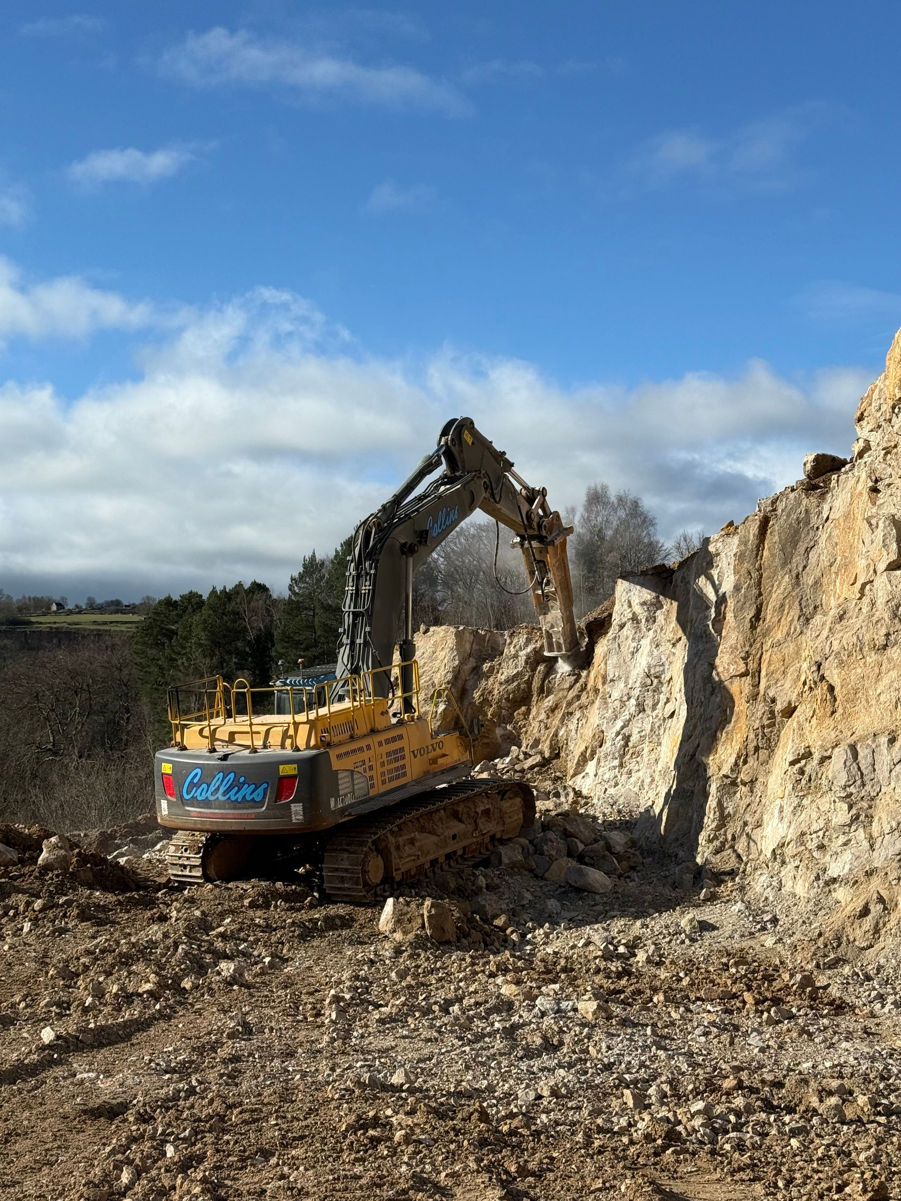 Professional Demolition International - An HP 12000 stars in a ...